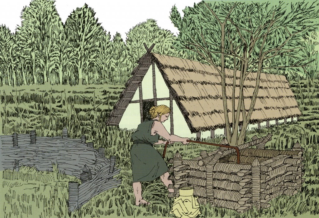 The Neolithic - Thuringian Museum of Pre- and Ancient History